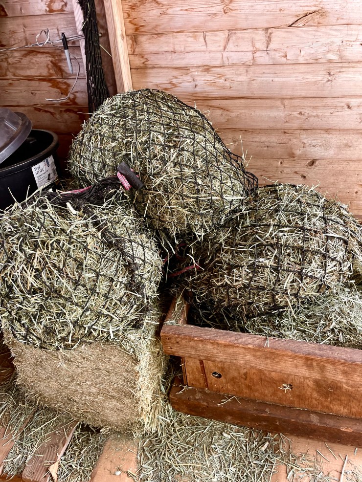 Hay Chix Hay Nets- Slow feeding at it’s best! – EQUESTRIAN FUZION