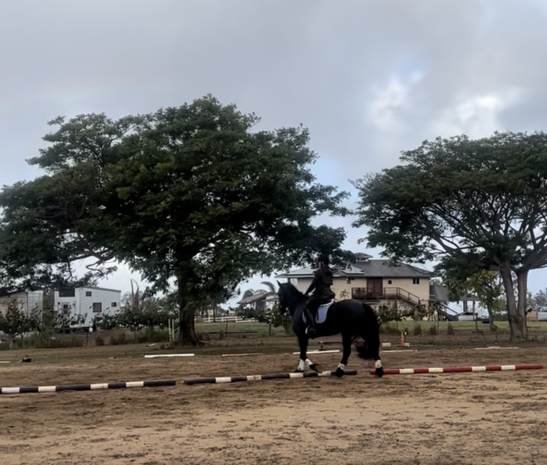 First Equi-Pole Ground Pole Session. Gymnastics for your horse ...